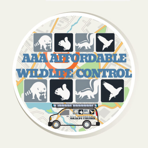 Wildlife Control Logo Wildlife Logo by Anshuman Dhar on Dribbble