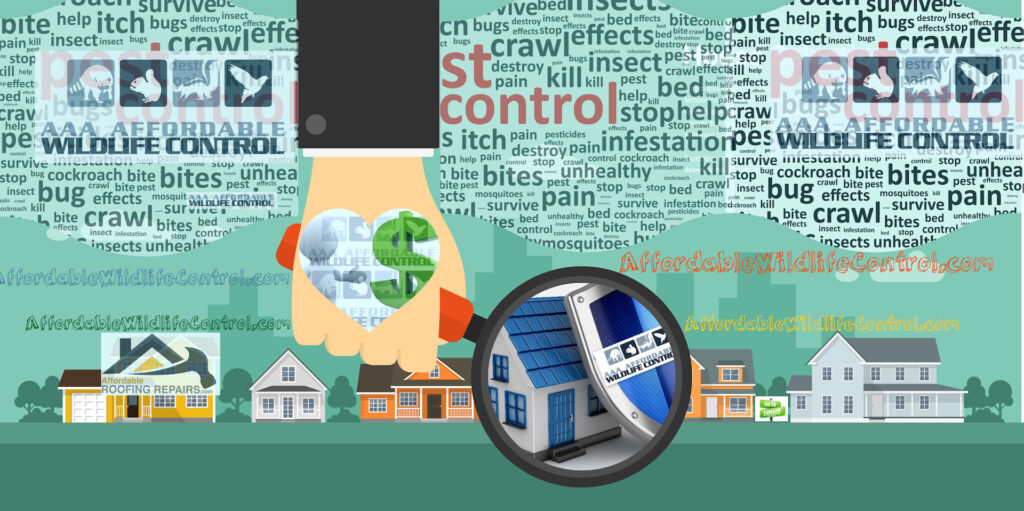 AAA Affordable Wildlife Control | Raccoons, Squirrels, Skunks, Birds